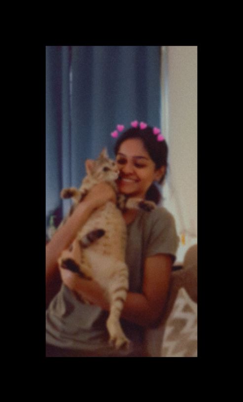 Home [www.dreamacco.com]